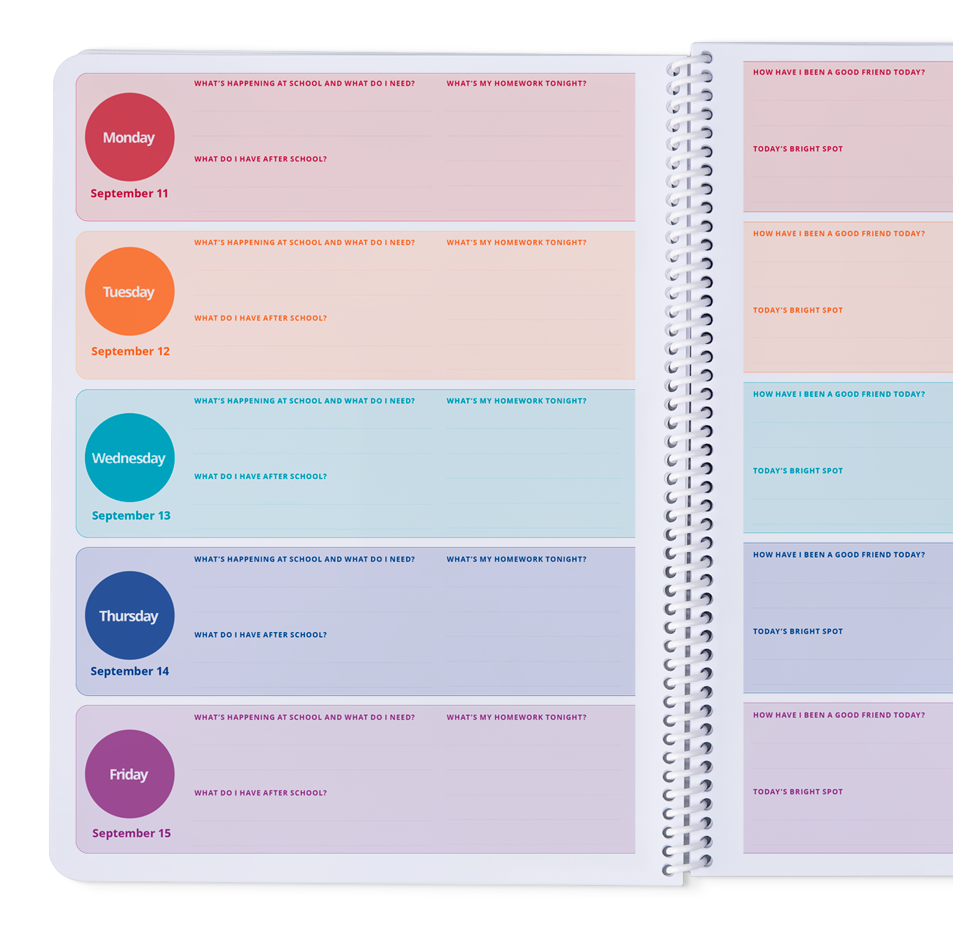 Positivity Project Planner - The Positivity Project